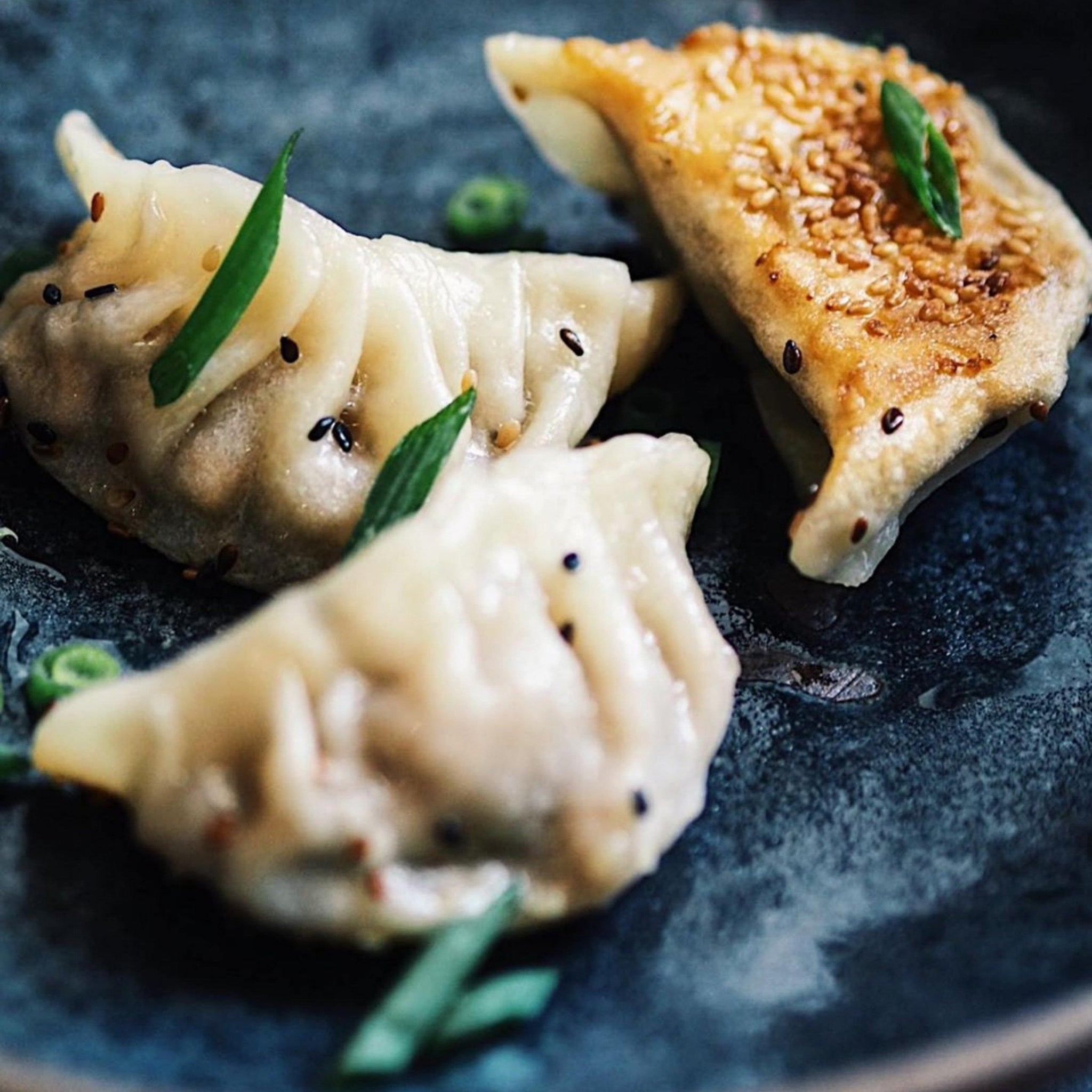 Boiled & Pan Fried Dumplings – House of Dim Sum